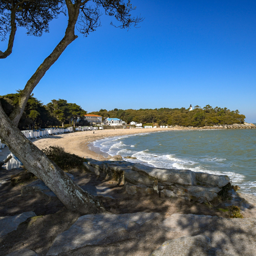 Les plus belles plages de la Vendée ! :: Adventures With Lau